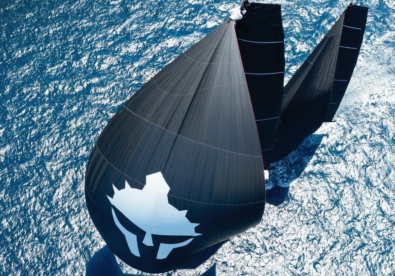 ABOUT DOYLE - Doyle Sails